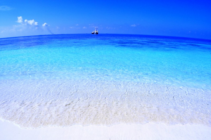 Photo of the Moment: The Brilliant Colors of Maldives — Vagabondish