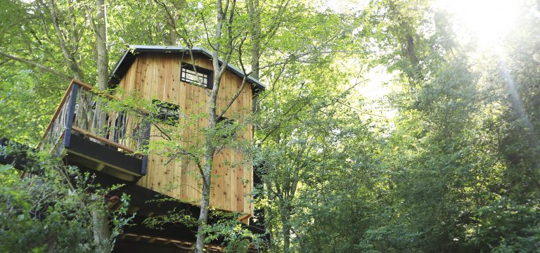 Overnighting at Chattanooga's One-of-a-kind Dove Men+Care Treehouse