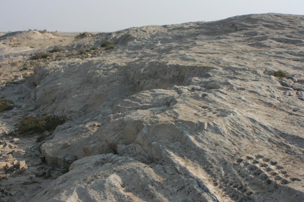 Exploring Qatar's Mysterious Rock Carvings of Al Jassasiya — Vagabondish