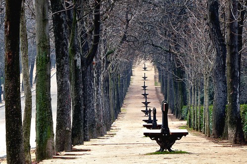 Photo of the Moment: Waiting for Spring, Madrid — Vagabondish